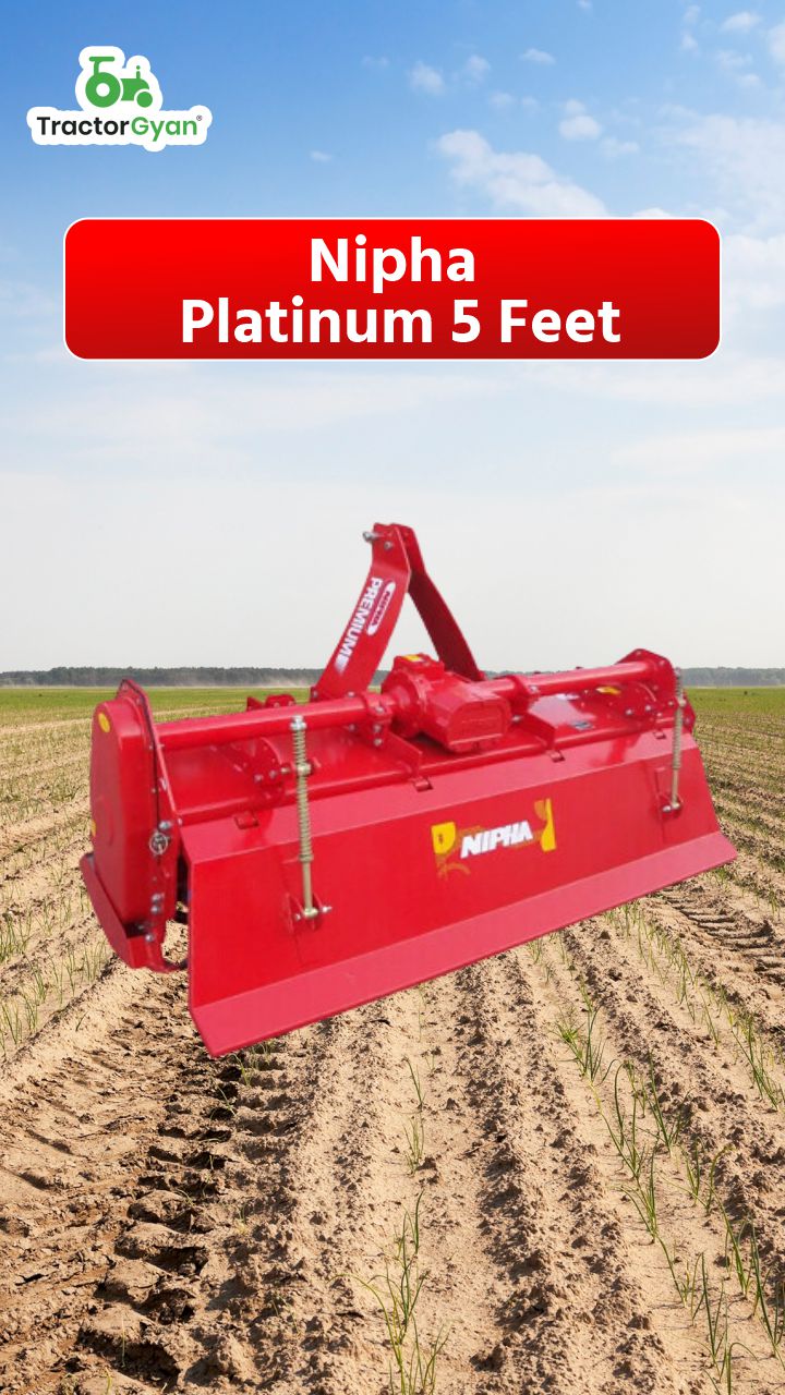 Nipha Platinum 5 Feet