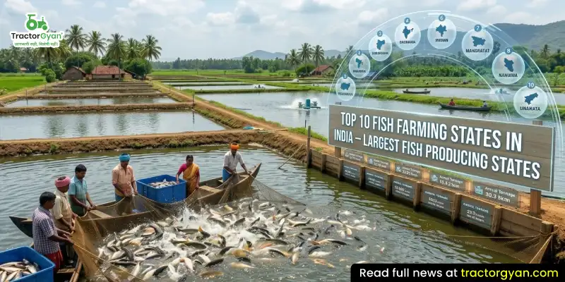 Top 10 Fish Farming States in India: Largest Fish-Producing States