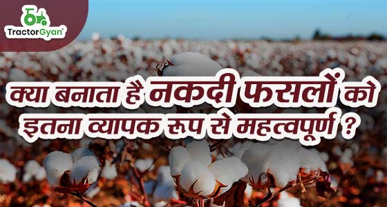 Importance and types of Cash crops in India | Tractorgyan